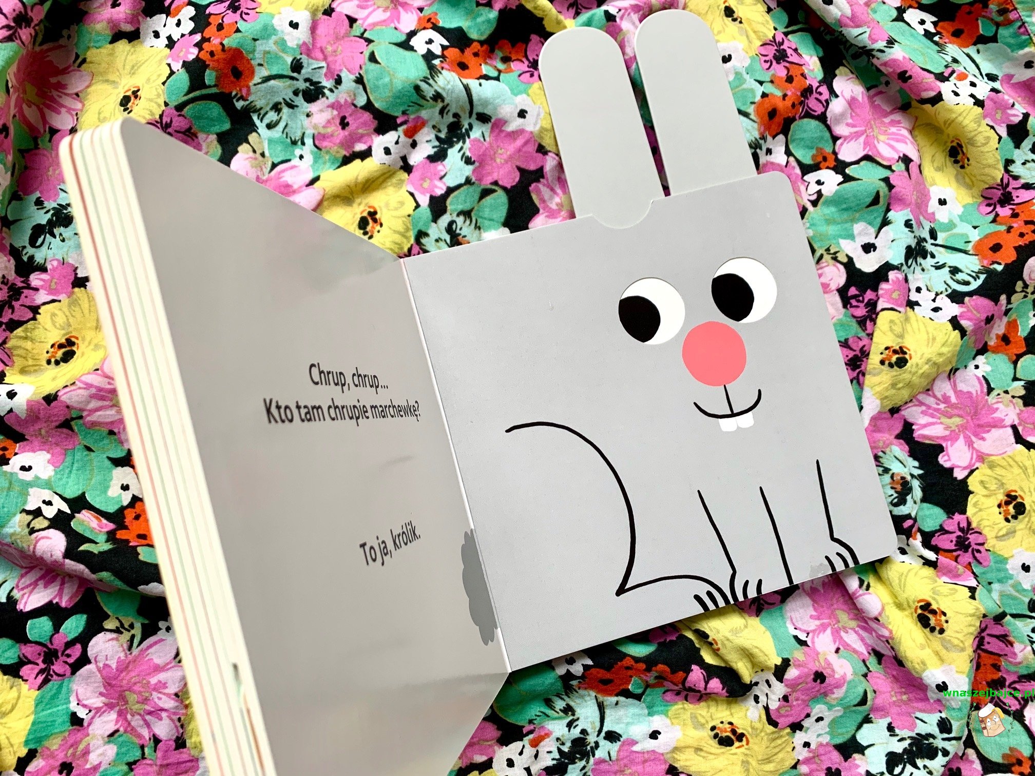 A to kto? – Wydawnictwo ADAMADA – patronat bloga – Blog o książkach dla ...