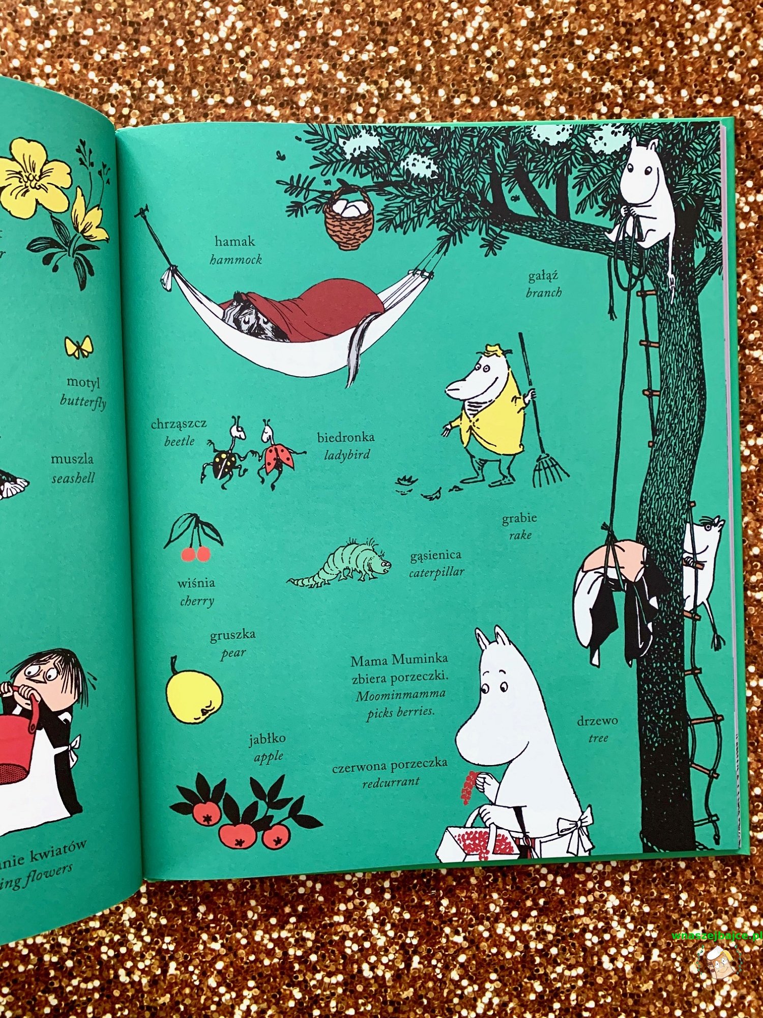 „Muminki. Wielki słownik obrazkowy polsko – angielski” z ilustracjami ...