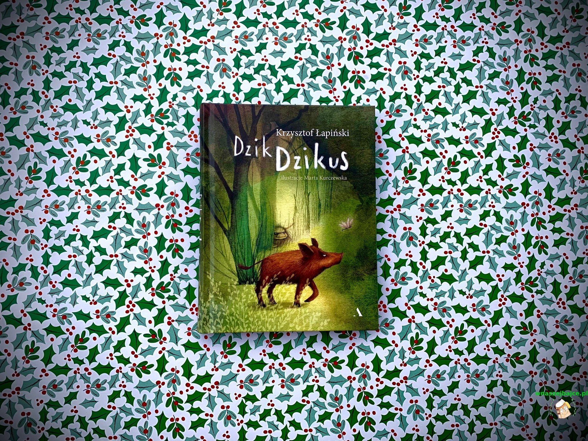 Dzik Dzikus – Wydawnictwo AGORA – Blog o książkach dla dzieci i ...