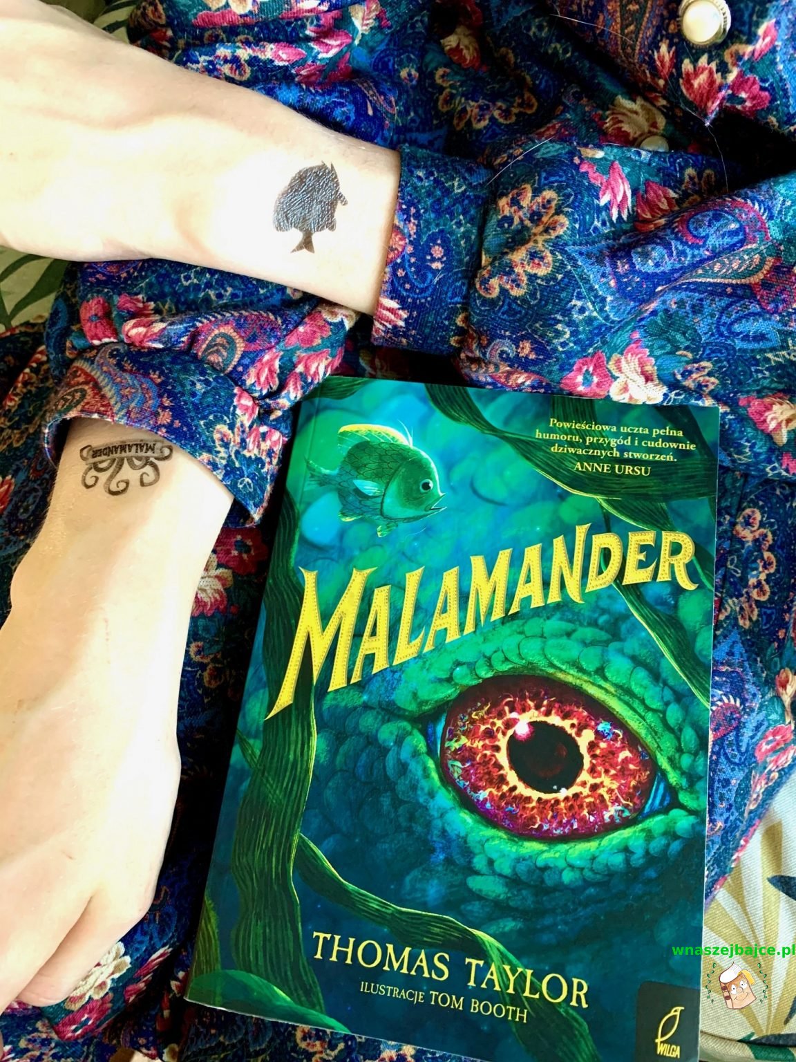Malamander – Wydawnictwo WILGA – Blog o książkach dla dzieci i ...