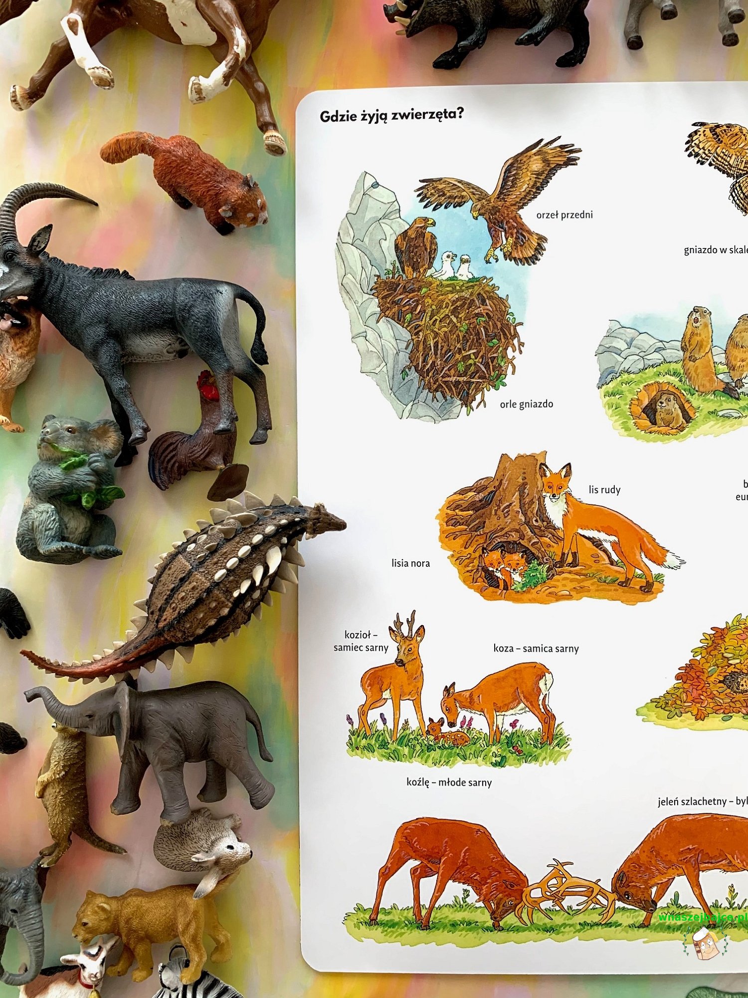 Wielka księga zwierząt. Ponad 150 gatunków – ogromna kartonowa ...