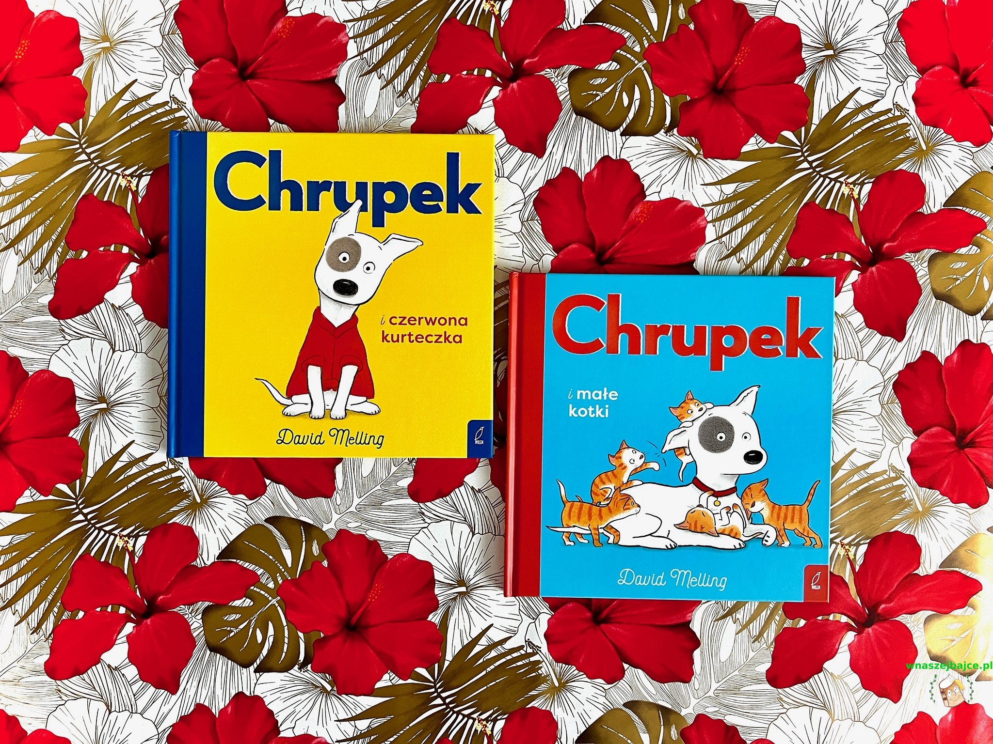 „Chrupek i czerwona kurteczka” i „Chrupek i małe kotki” – Wydawnictwo ...