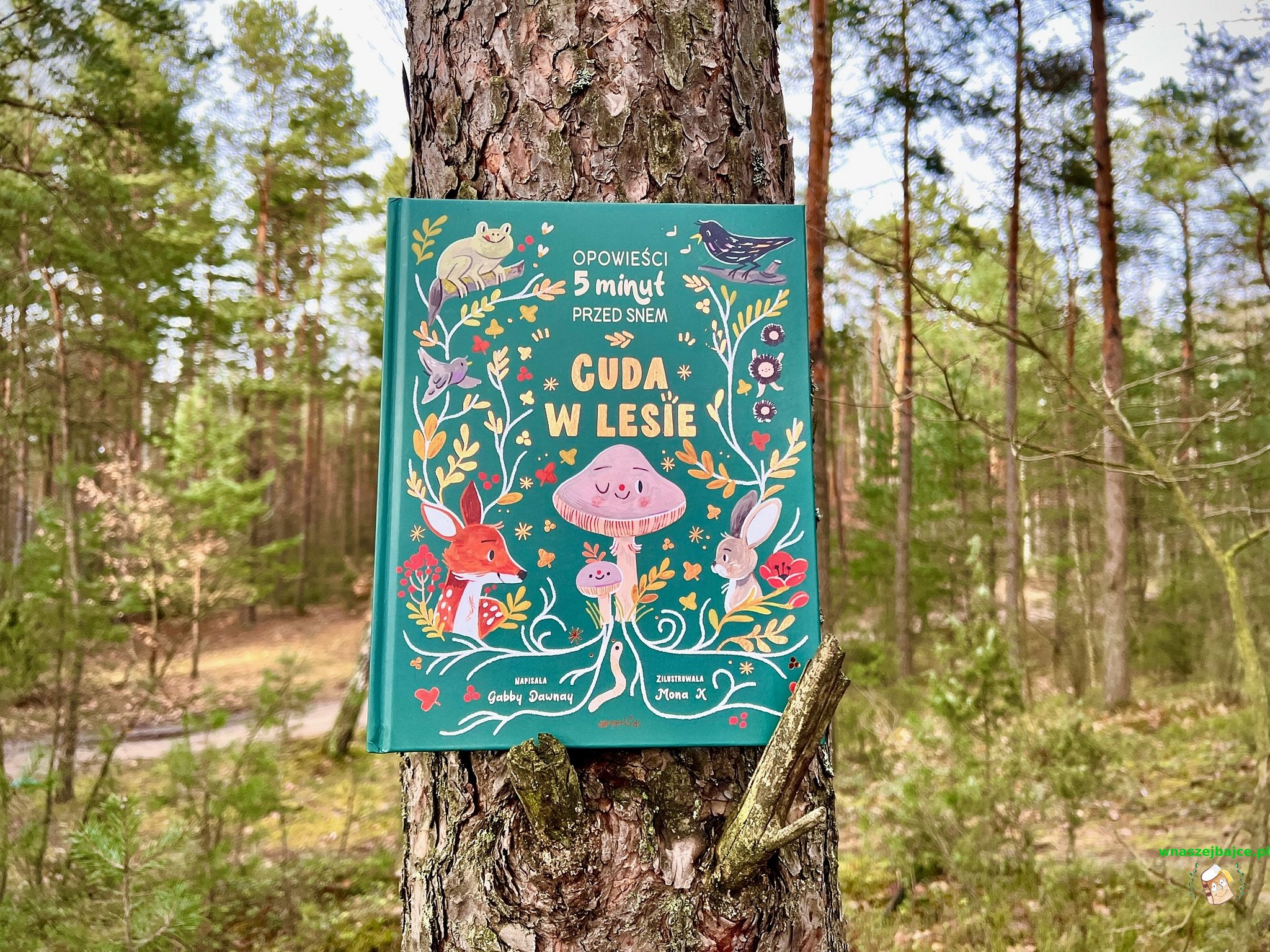 „Cuda w lesie. Opowieści 5 minut przed snem” – Wydawnictwo HarperKids ...