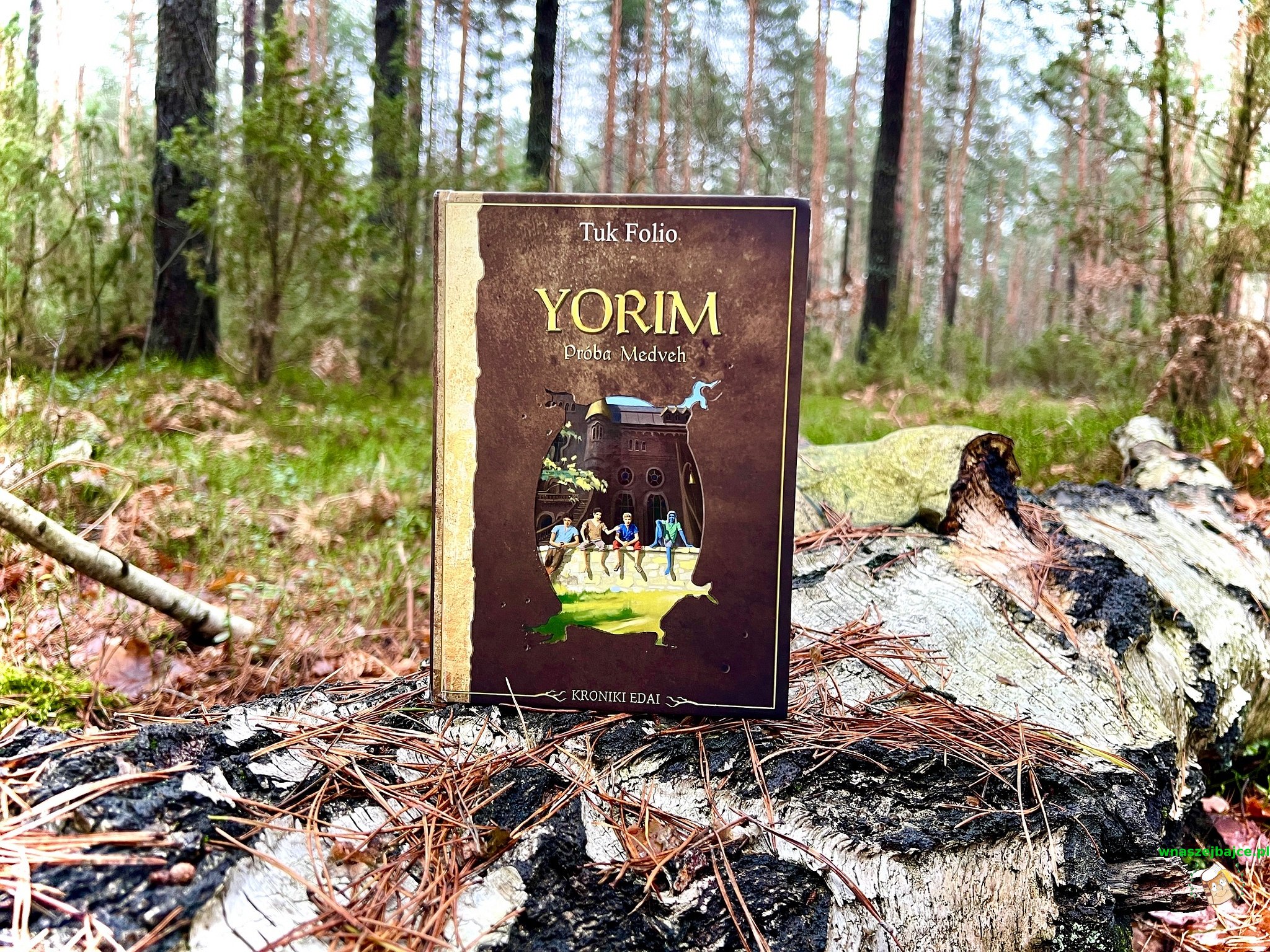 „YORIM Próba Medveh” – Wydawnictwo SZTABER – SOLE – Blog o książkach ...