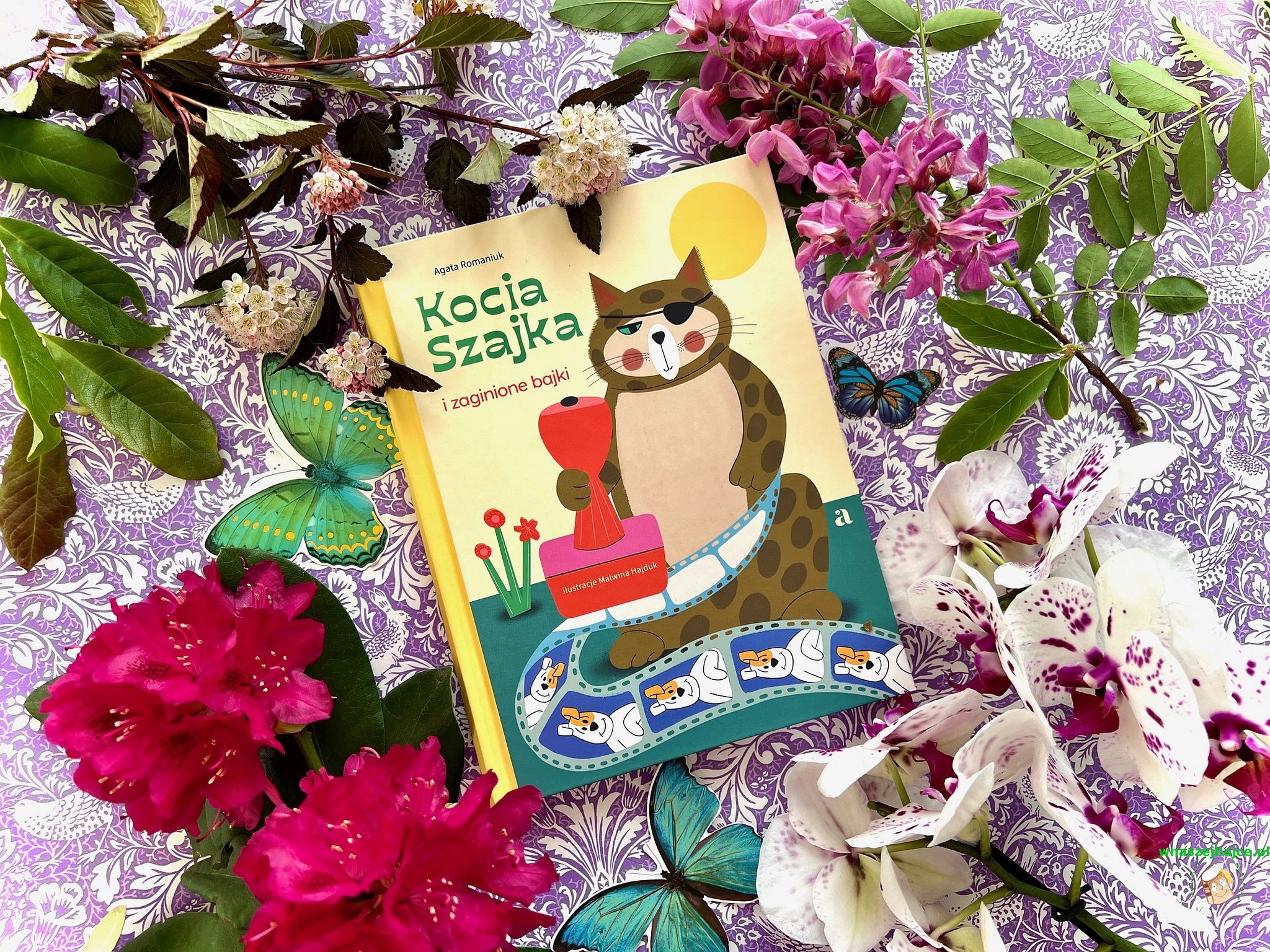„Kocia Szajka i zaginione bajki” – Wydawnictwo AGORA DLA DZIECI – Blog o książkach dla dzieci i ...